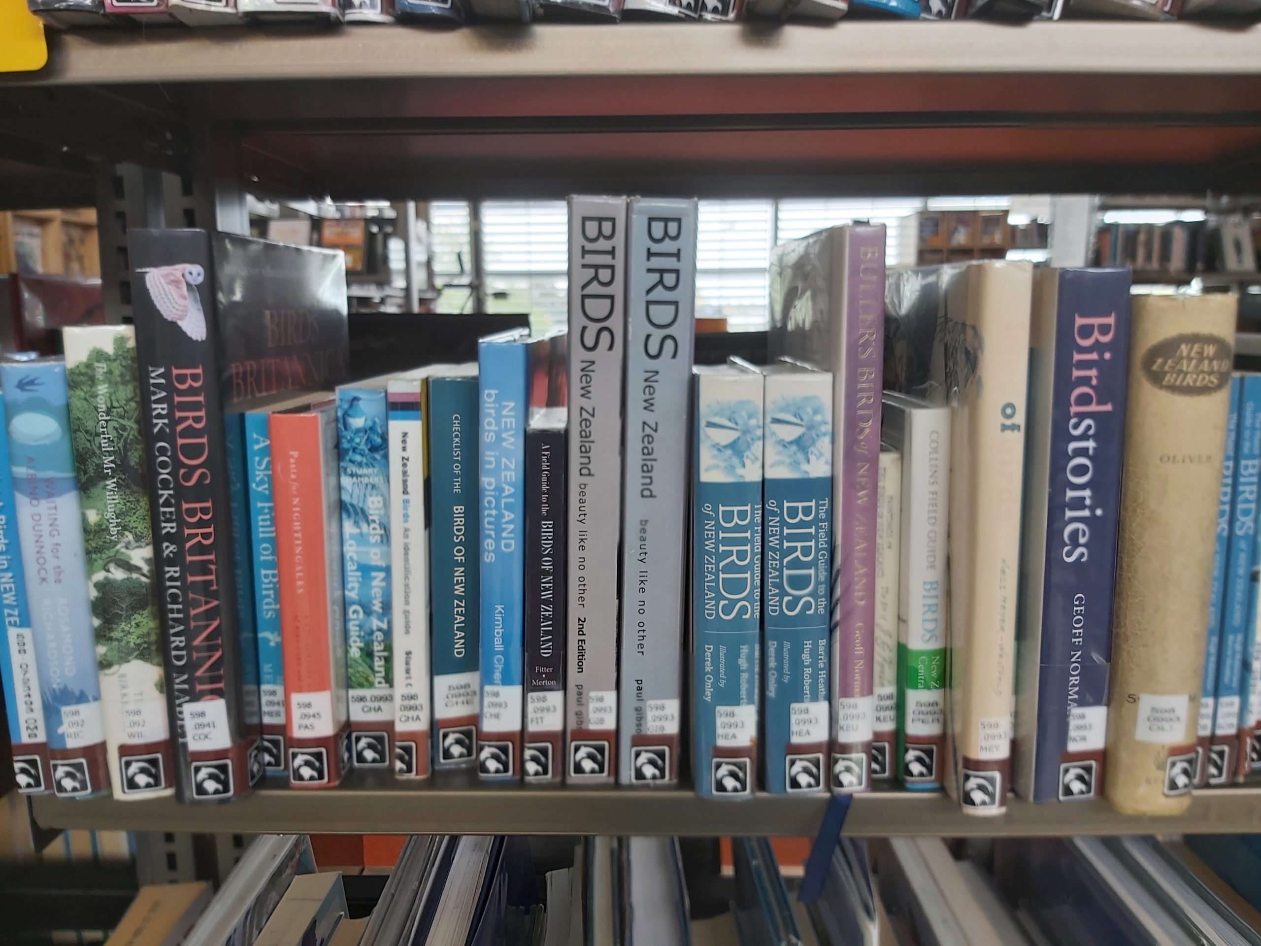 Palmerston North City Library | Bird of the Year